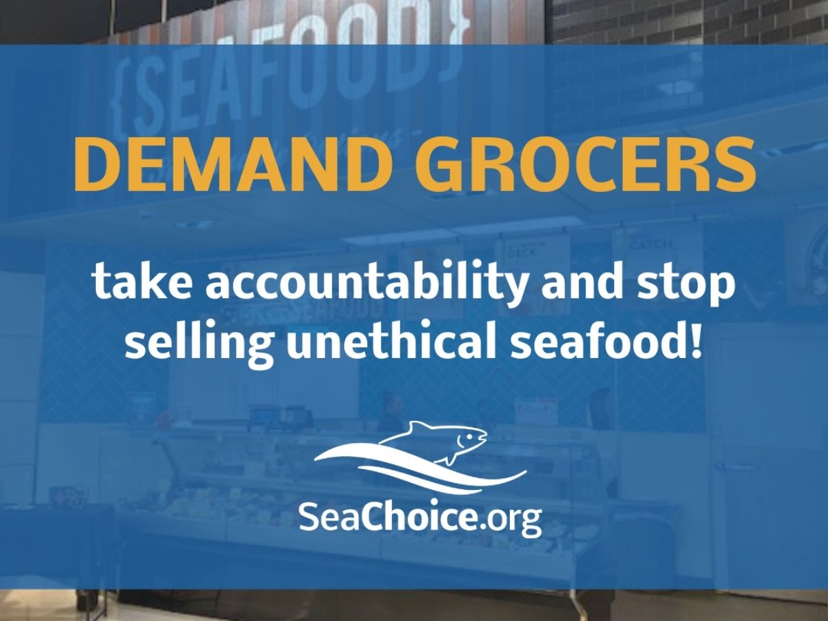 Take action: tell your grocer to stop selling unethical seafood ...
