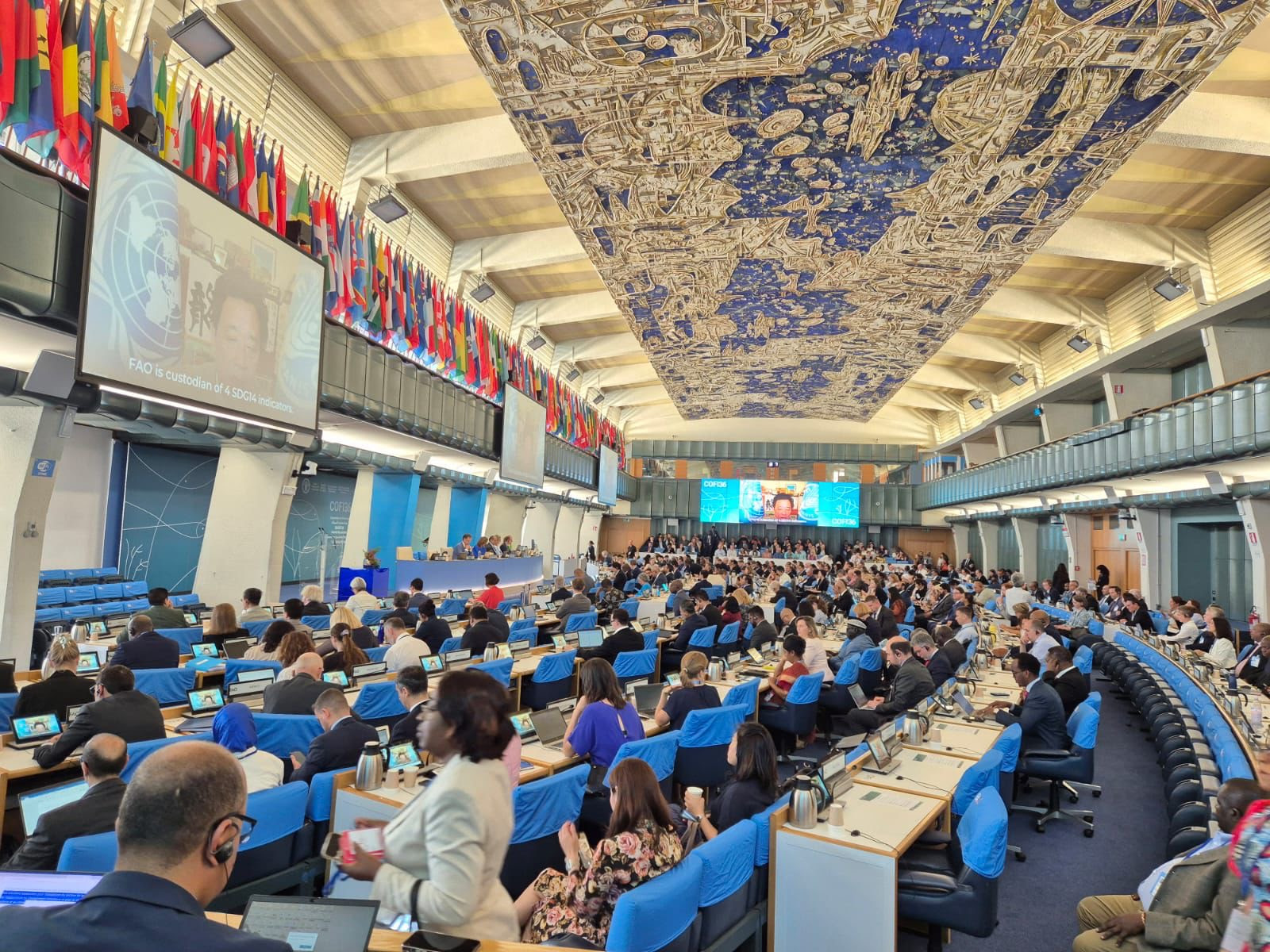 Review of the FAO Ecolabelling Guidelines accepted | Living Oceans