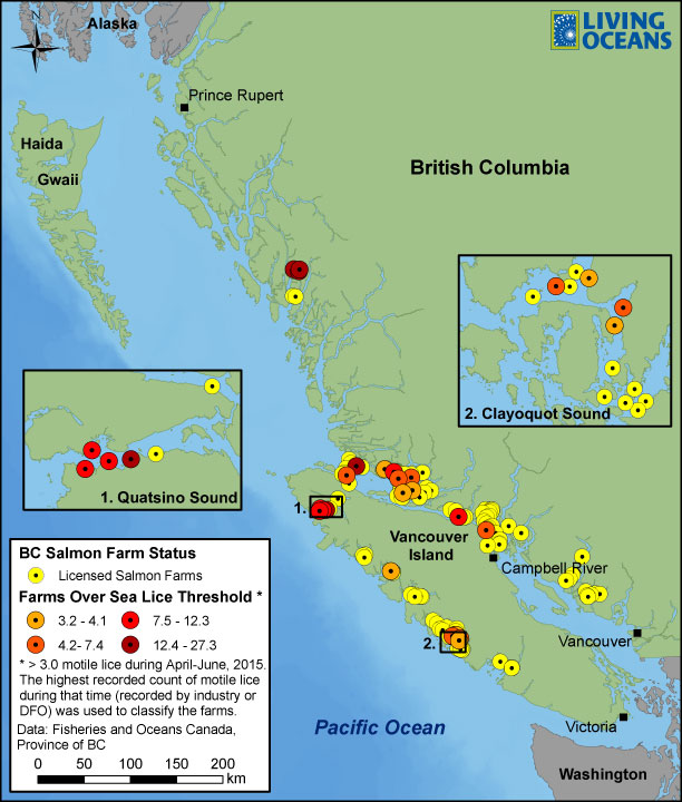 Salmon farms out of control | Living Oceans